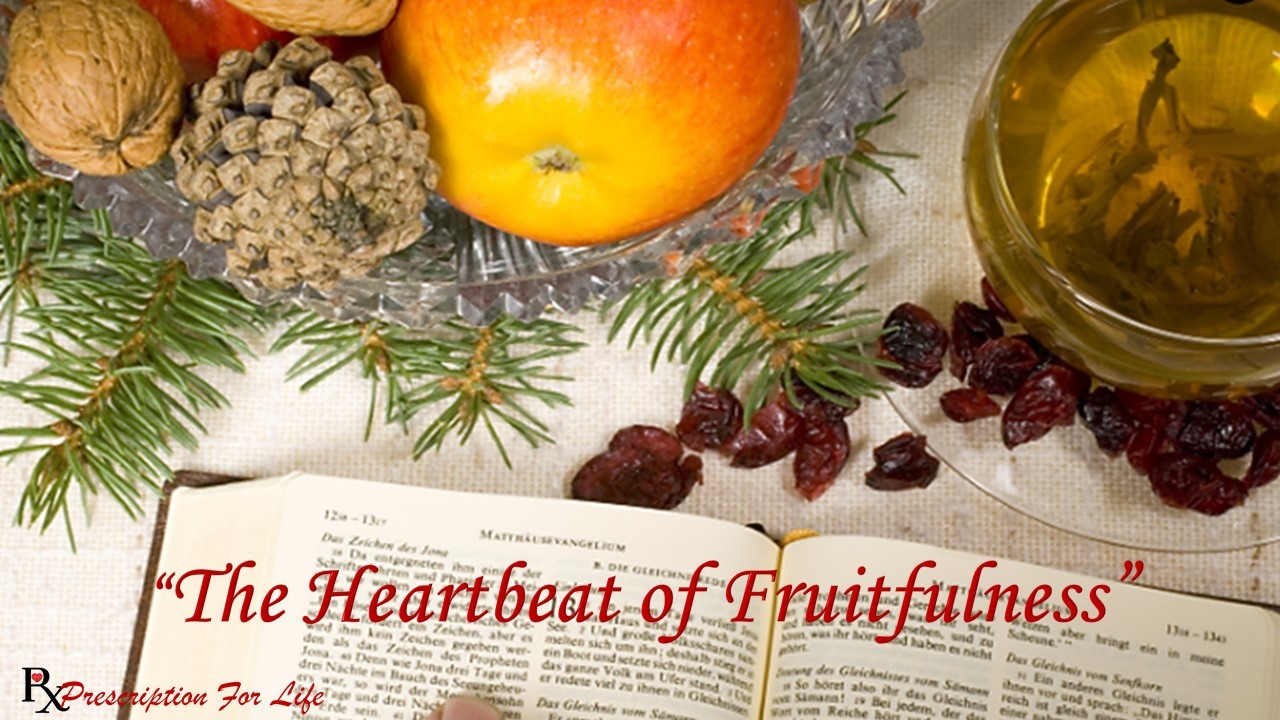 The Heartbeat of FRUITFULNESS - Barbra Gentry Pugh